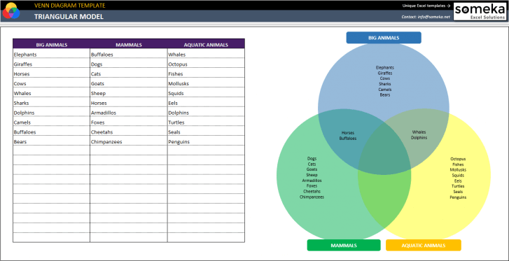 Venn Diagram Excel Template | 3&4 Circle Venn Diagram Maker from Data