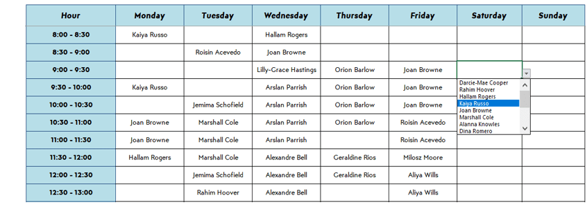 Availability Schedule Template Excel