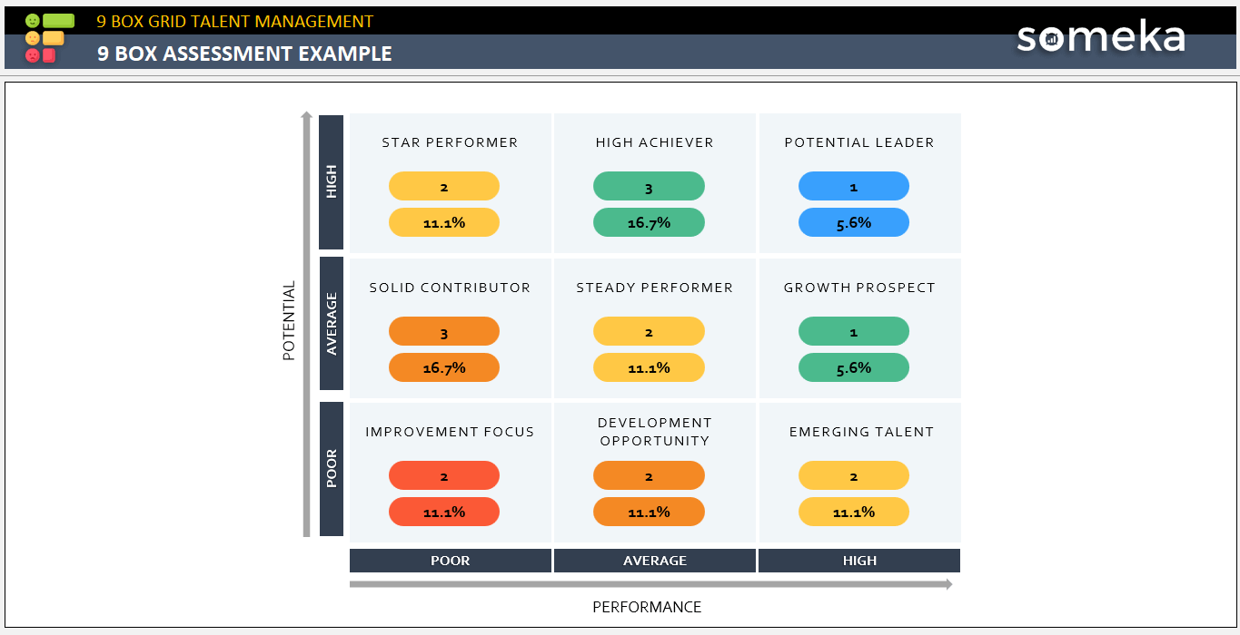 9 Box Assessment Example Free Excel And PDF Template 